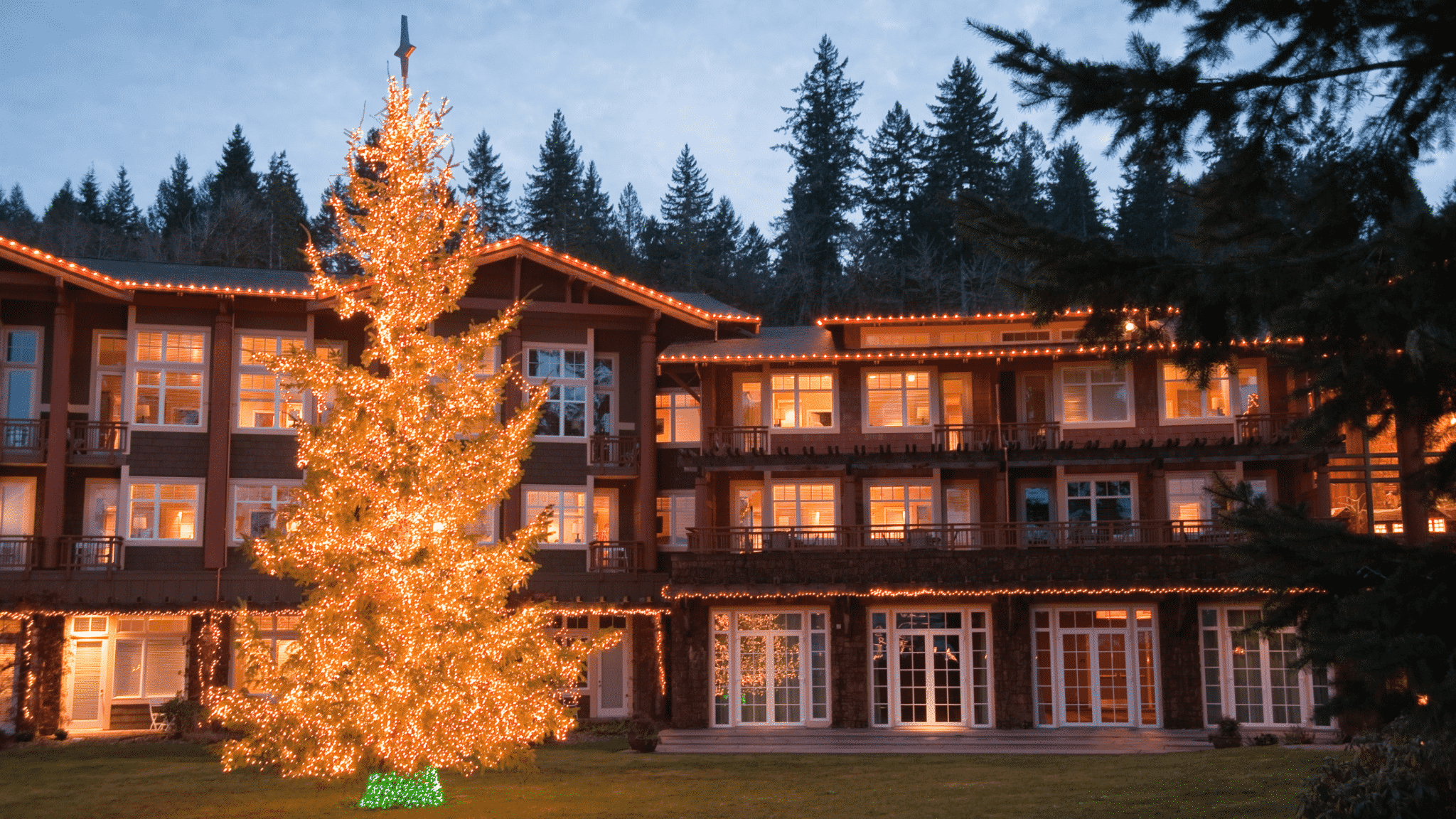 Christmas marketing ideas for hotels: preparing your hotel for the ... Christmas marketing ideas for hotels: preparing your hotel for the ...